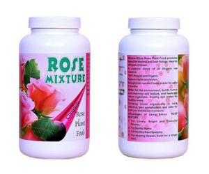 Organic Rose Fertilizers You Can Find in Your Home - MOG