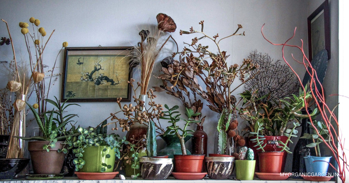 Trendy Pots and Planters on Amazon for Your Indoor Plants